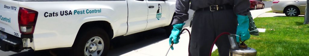 Services - CatsUSA PestControl California